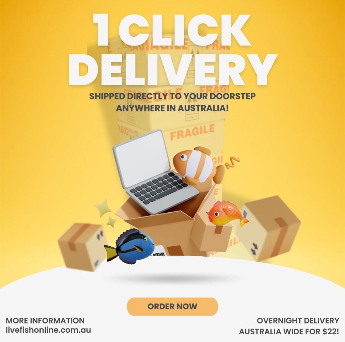 Aquarium Fish Delivered To Your Doorstep Anywhere In Australia